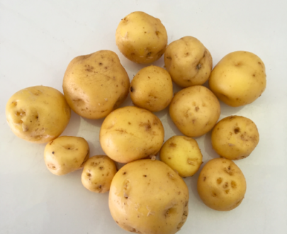 Productos – Organic Life